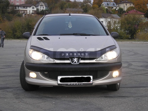 Peugeot 206 '2009, 1 поколение [рестайлинг]